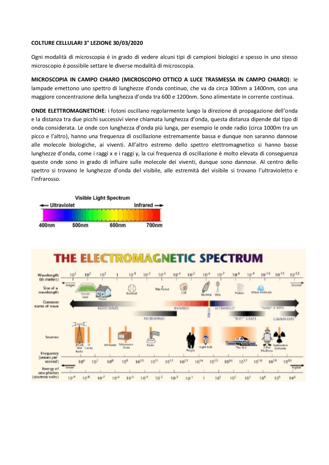 Colture Cellulari Lezione 3 Appunti Di Biologia Cellulare Docsity