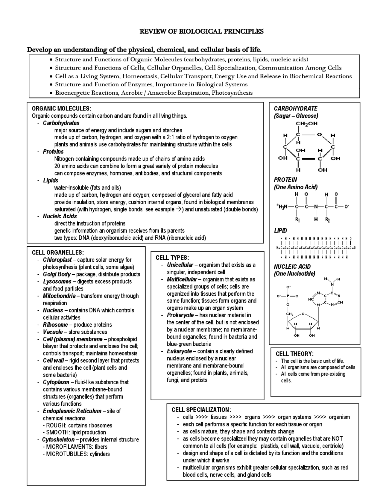 Biology Reviewer for High School students - Docsity