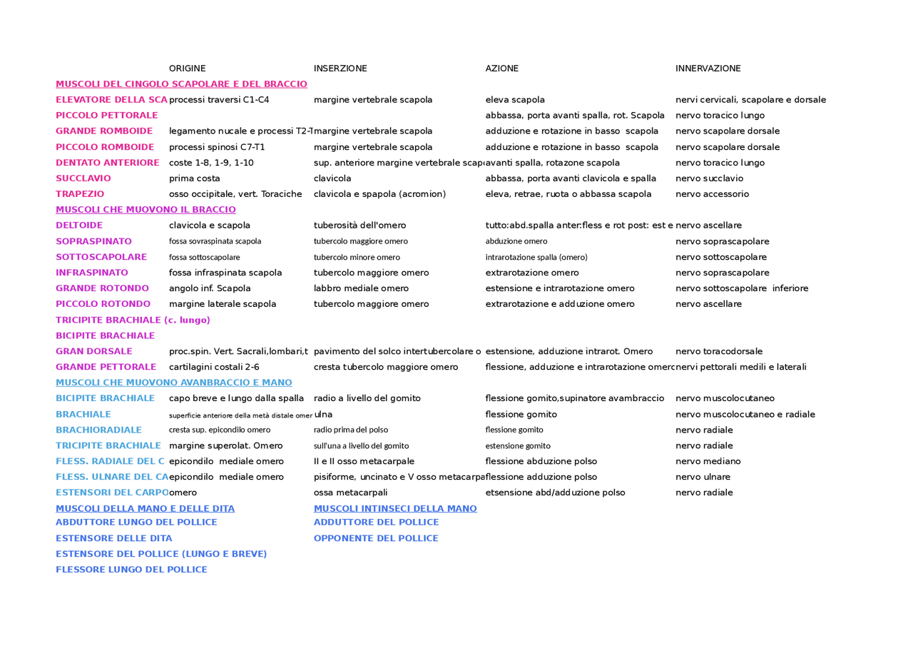 Schema Apparato Muscolare Schemi E Mappe Concettuali Di Anatomia