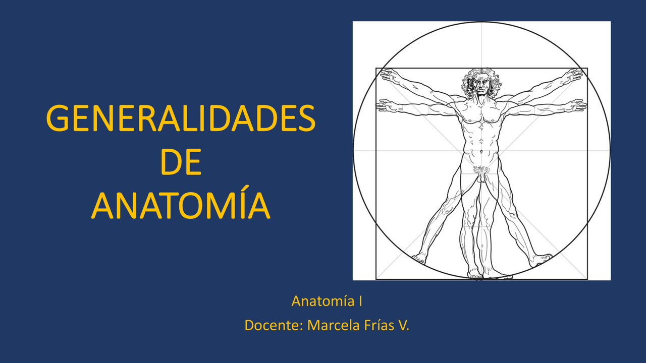 Generalidades de anatomia | Study notes of Anatomy | Docsity