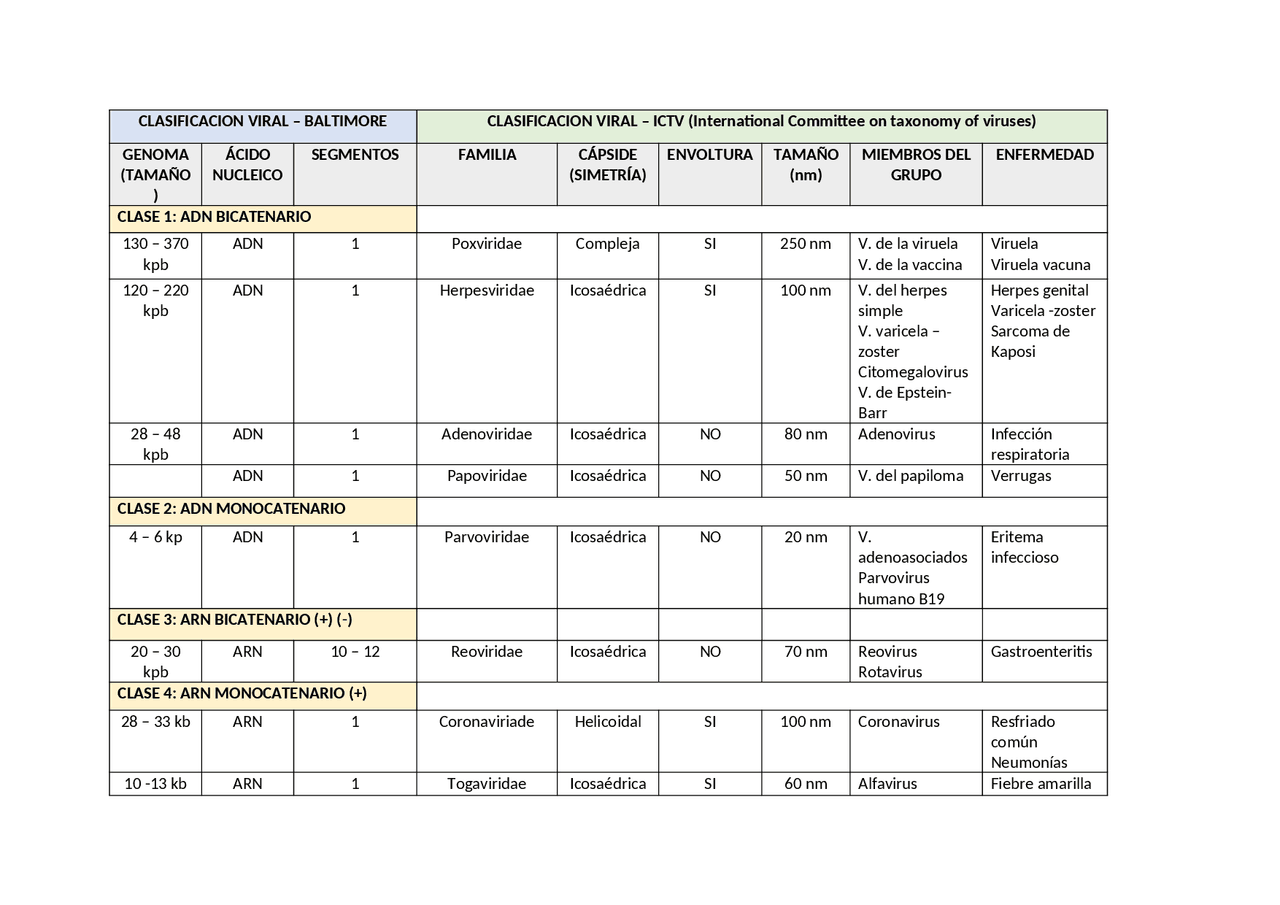 Clasificacion De Los Virus Docsity