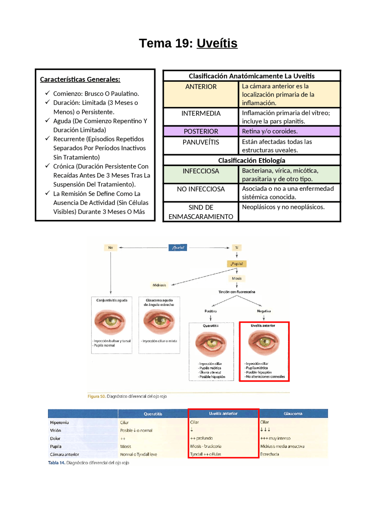 Oftalmología Uveitis Cto Docsity