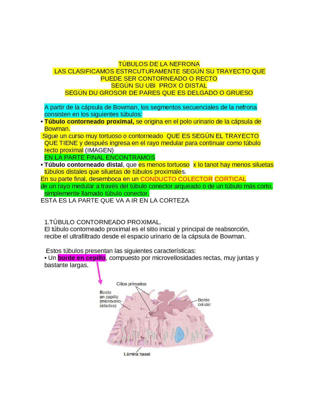 Foro tematico VIHk.lkñ - Docsity