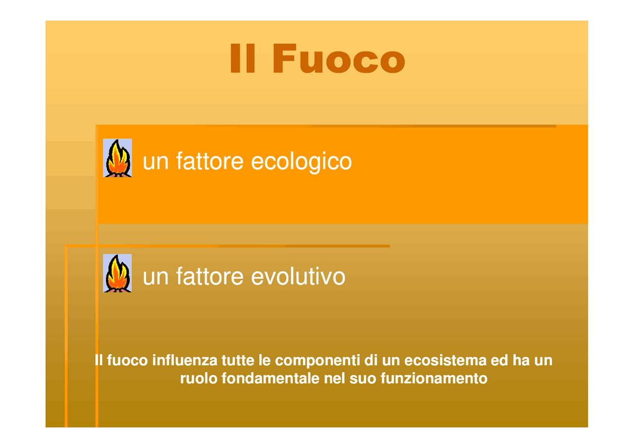 Il Fuoco In Generale Docsity