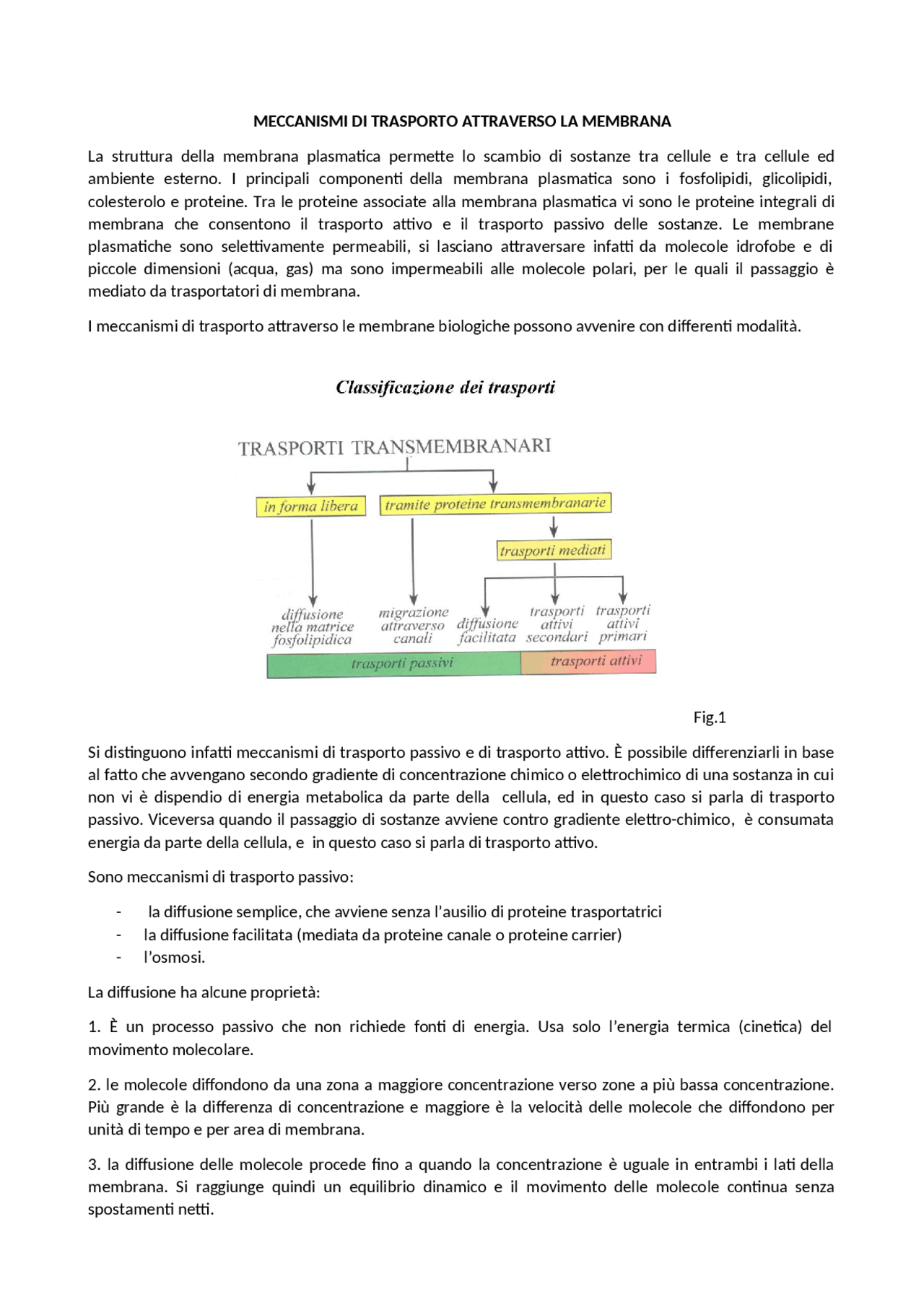 Trasporto Attraverso La Membrana Plasmatica Appunti Di Biologia Docsity