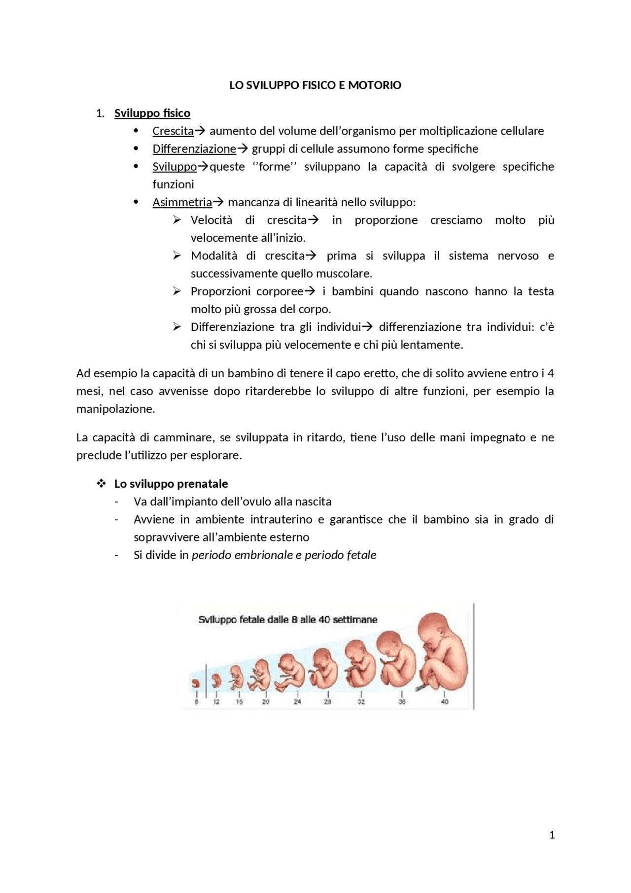 Lo Sviluppo Fisico E Motorio Docsity
