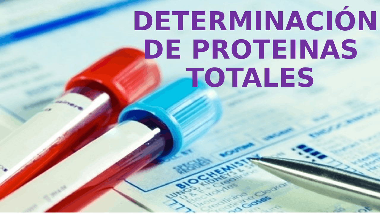 DeterminaciÓn De ProteÍna Total Docsity