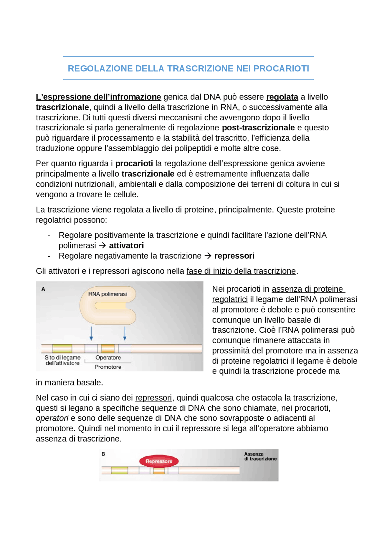 Regolazione Della Trascrizione Nei Procarioti Docsity