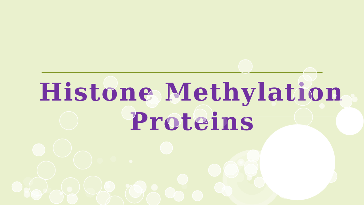 Histone Methylation Proteins - Docsity