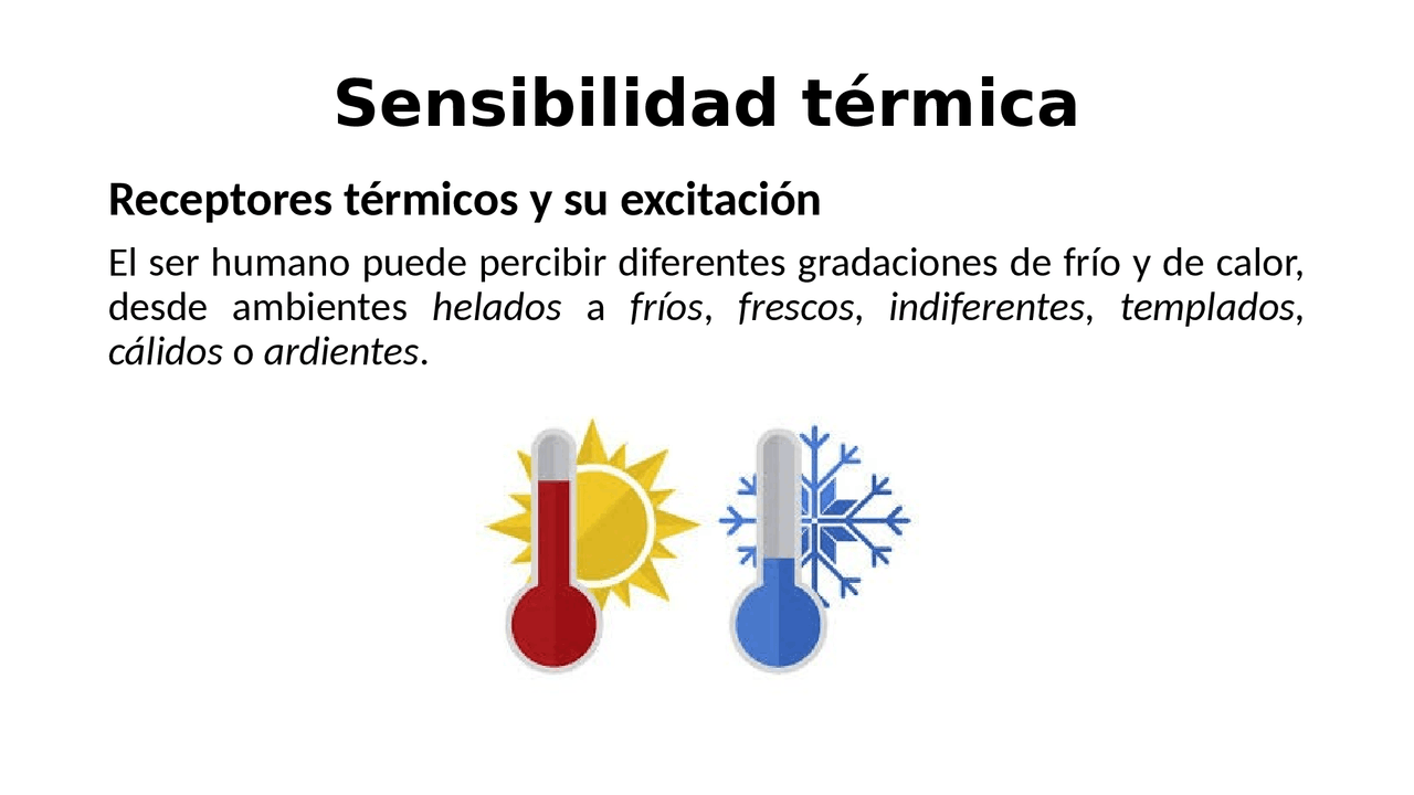 Sensibilidad térmica | Diapositivas de Fisiología | Docsity