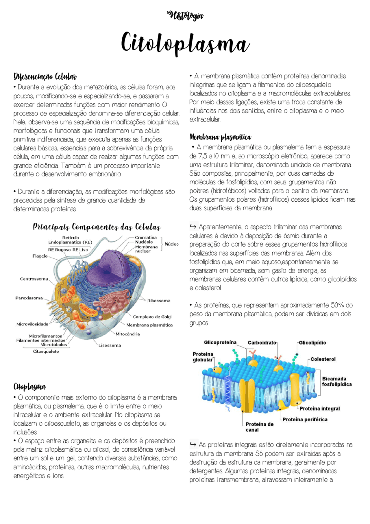 Citologia Básica - Resumo - Docsity