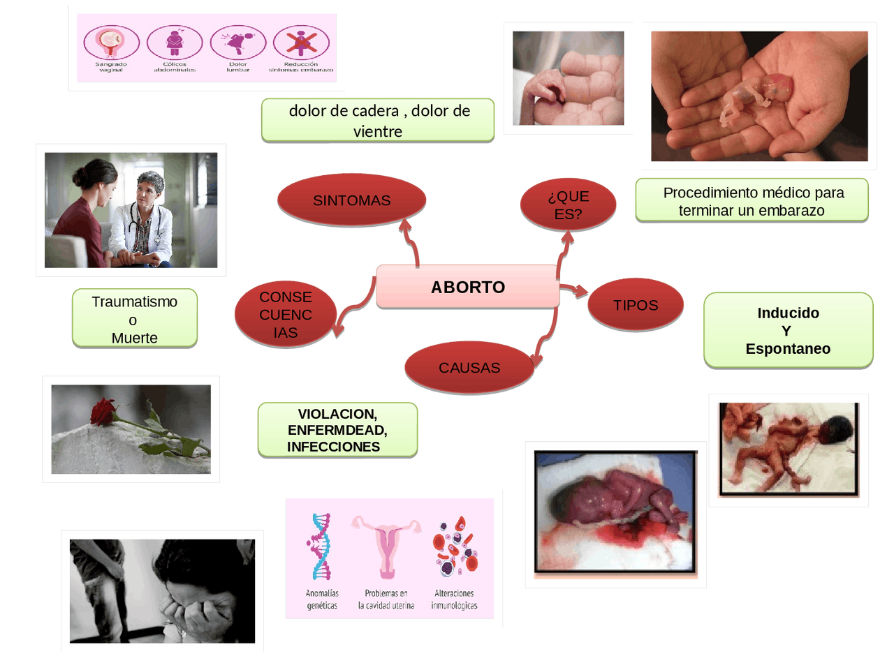 Aborto Concepto Y Generalidades Docsity