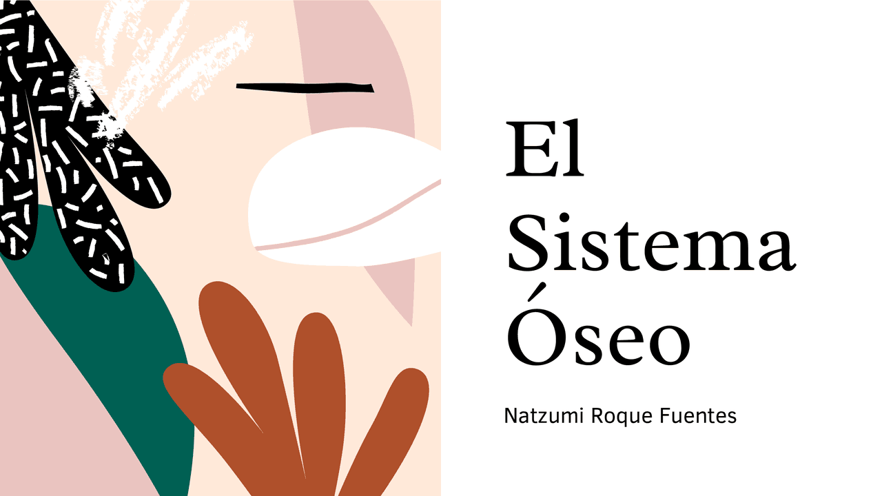 El Sistema óseo Diapositivas De Biología Docsity