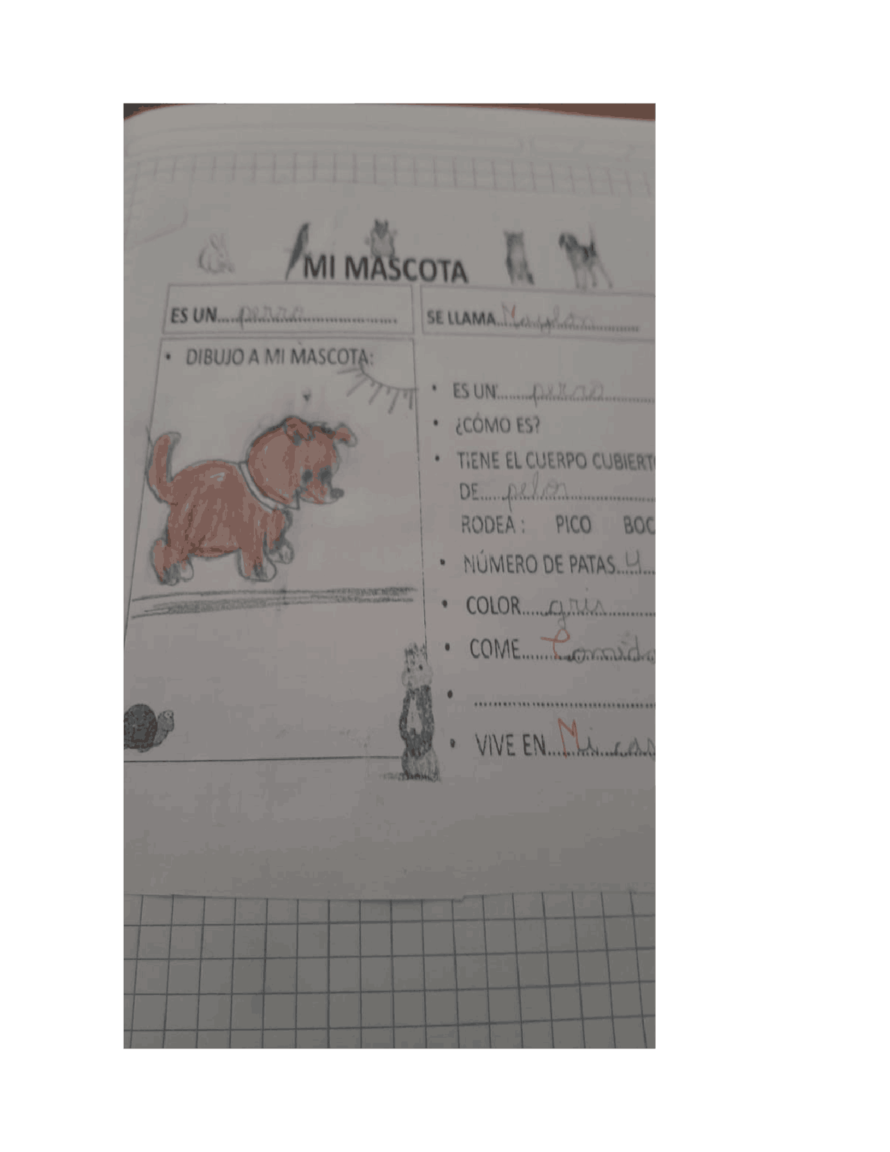 Ciencias Basicas Para Principiantes Apuntes De Ciencias Docsity