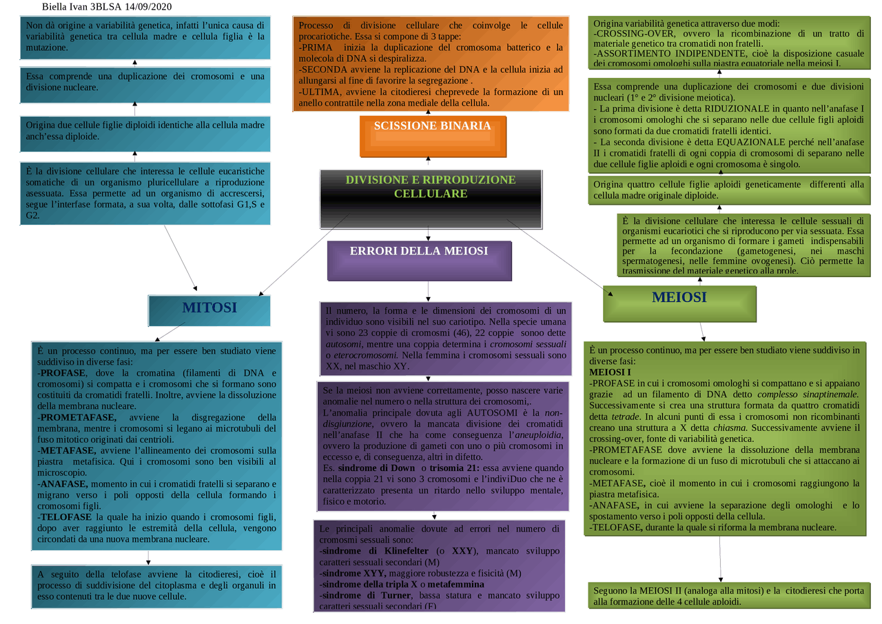 Mappa Mitosi E Meiosi Liceo Docsity