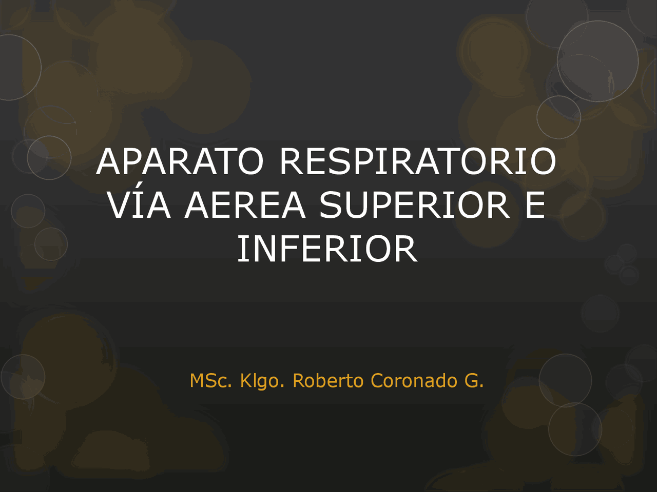 Aparato Respiratorio Diapositivas De Anatomía Docsity