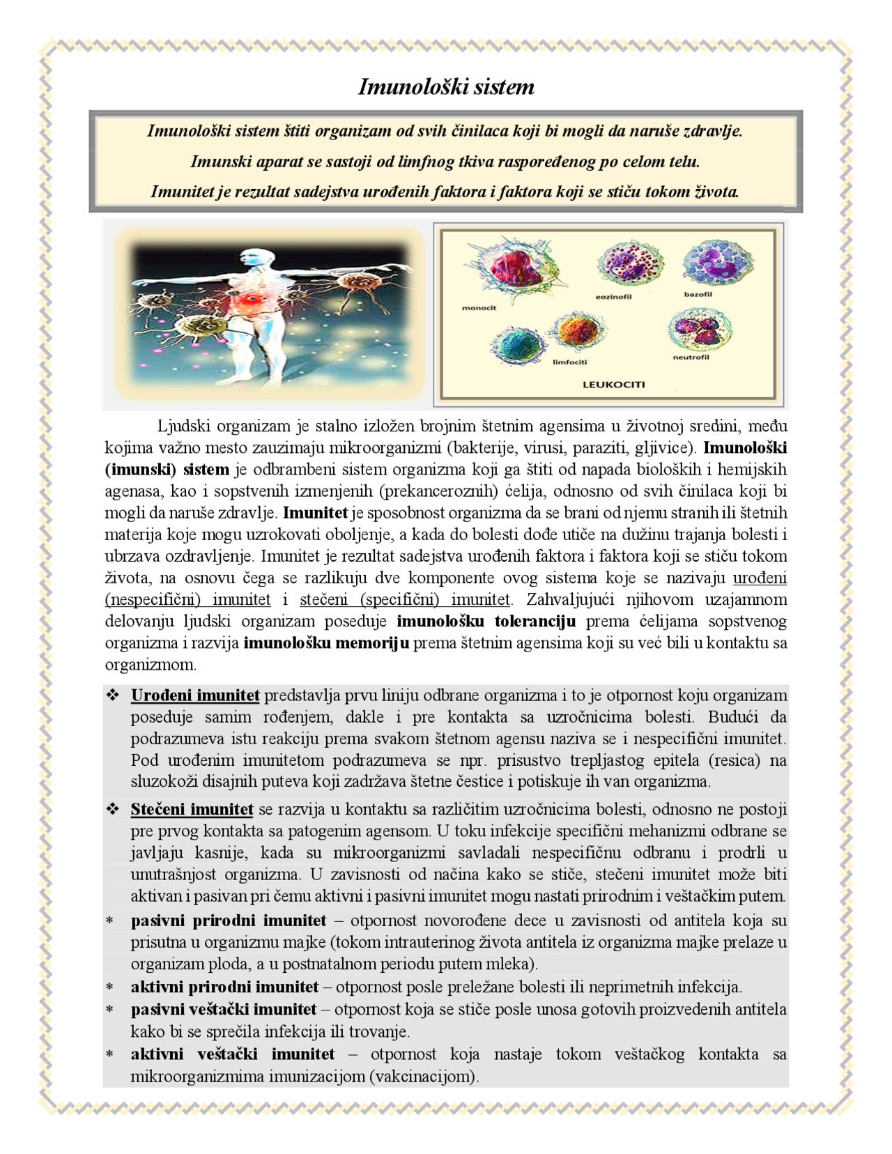 Imunološki sistem: vrste imuniteta i funkcija imunskog aparata ...