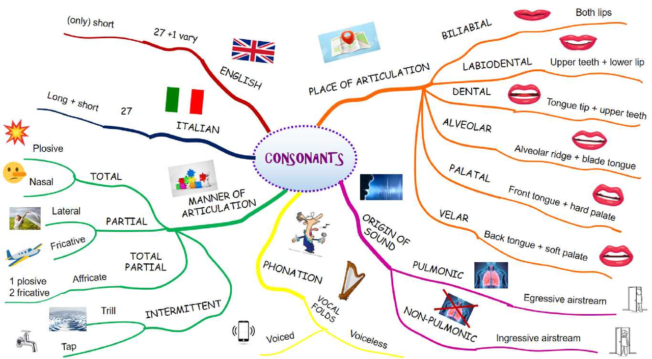 Consonants - mappe sistema consonantico - Docsity