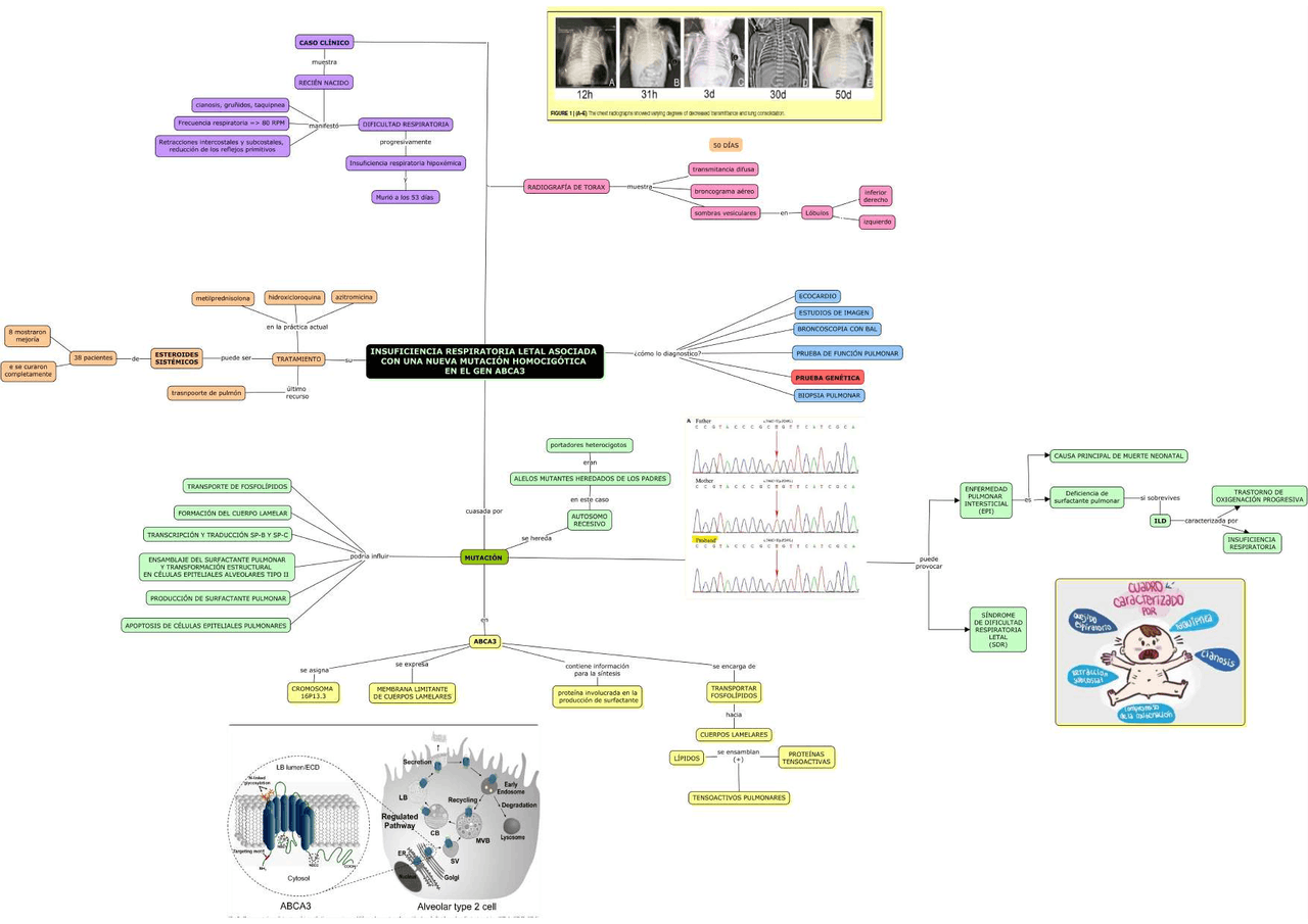 Insuficiencia respiratoria letal asociada con una mutación en el gen ...