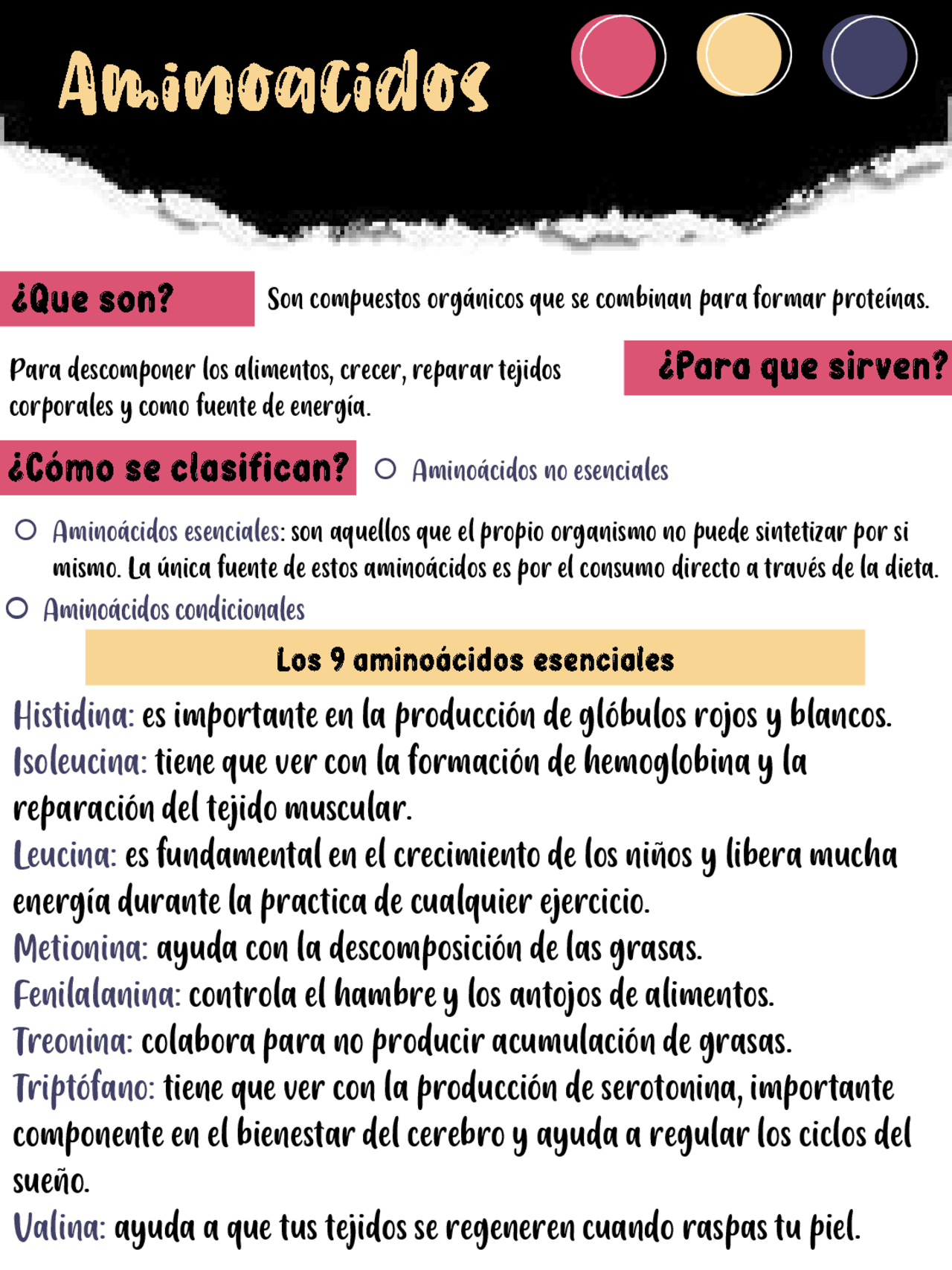 Aminoacidos. | Study notes Medicine | Docsity