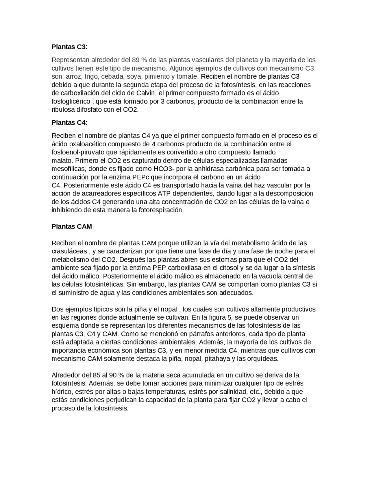 Plantas C3, C4 y CAM - Docsity