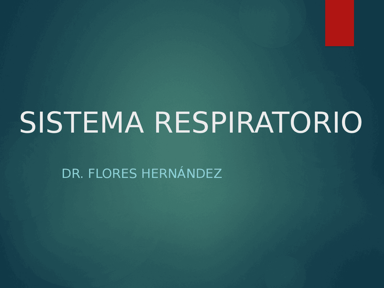 Sistema Respiratorio Docsity