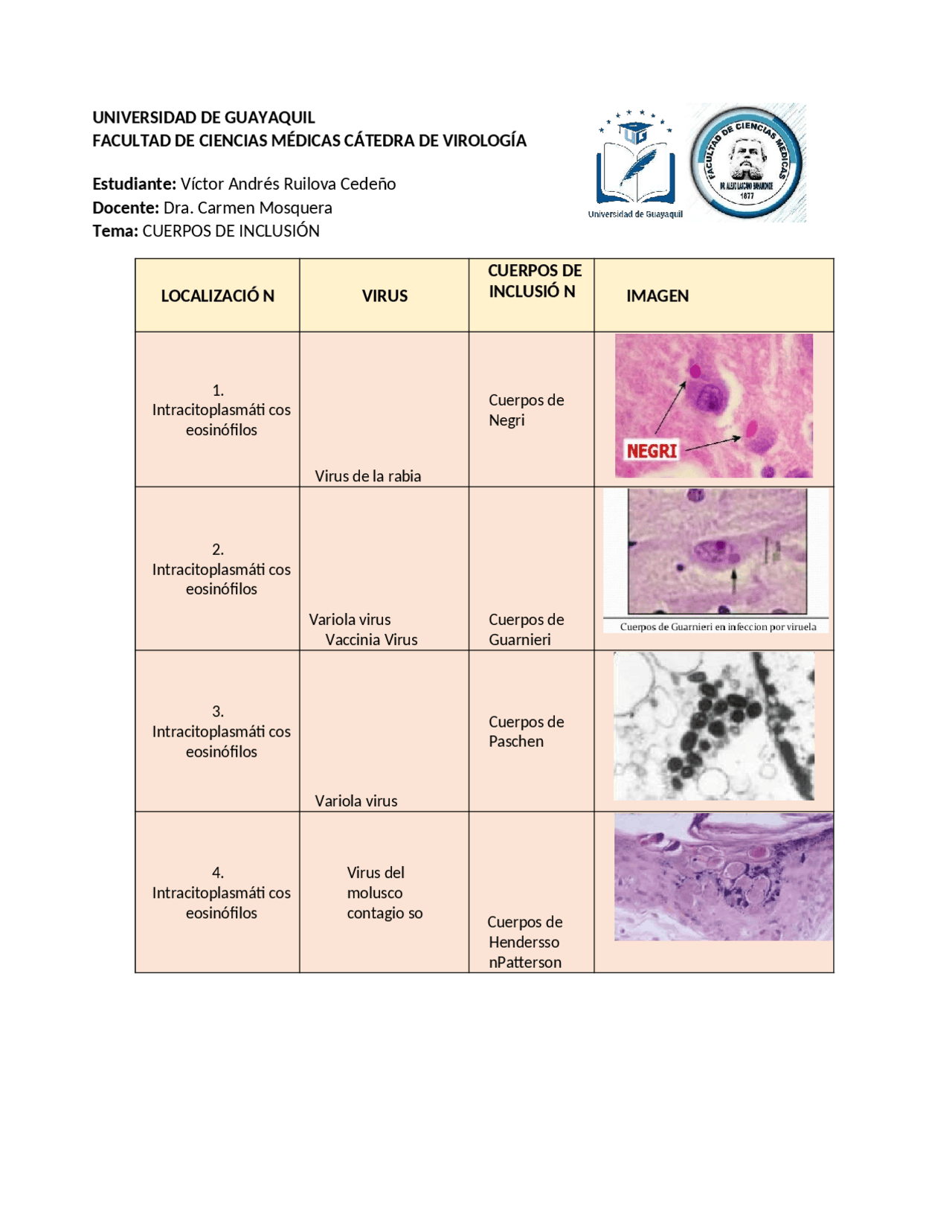 Cuerpos De Inclusion Docsity