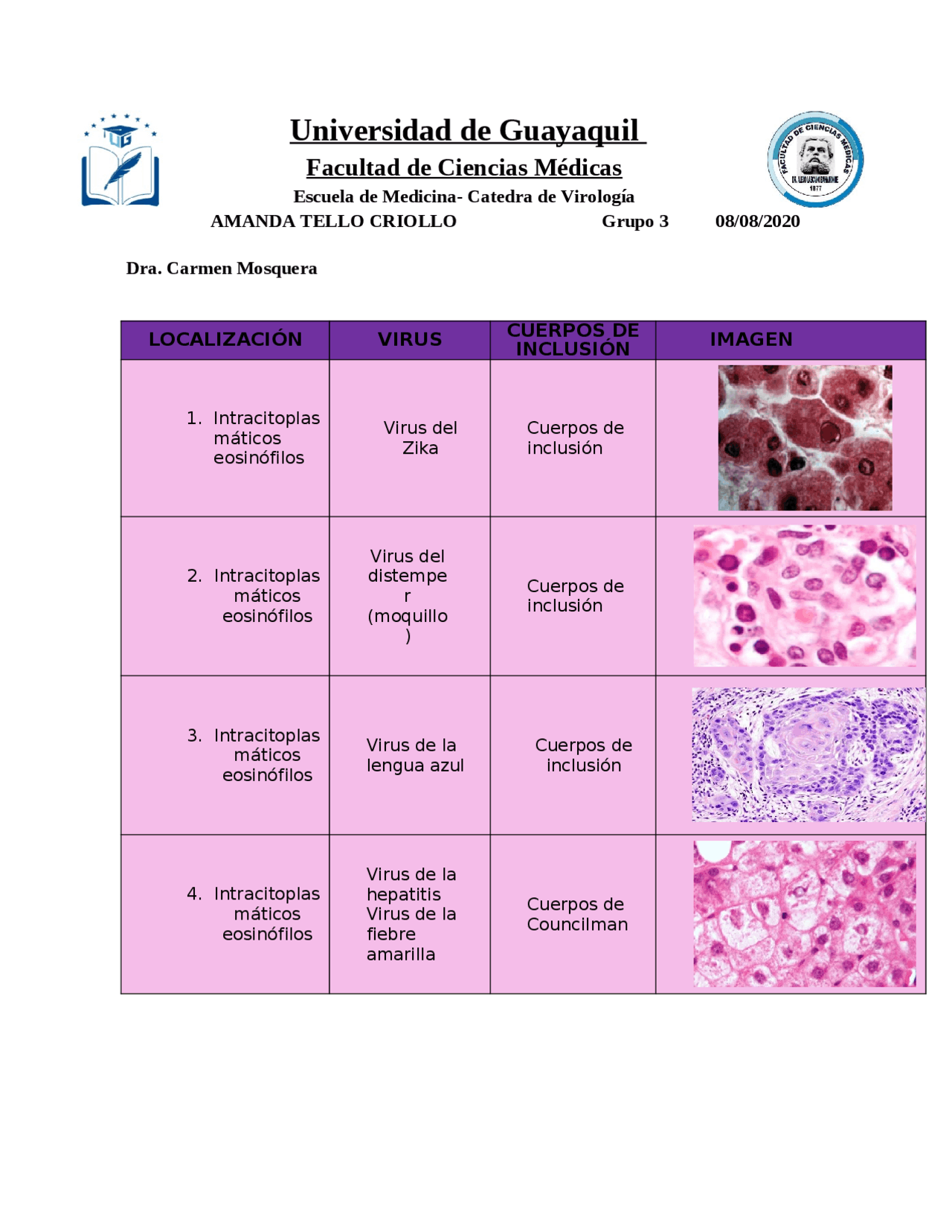 Cuerpos De Inclusion Apuntes De Virología Docsity