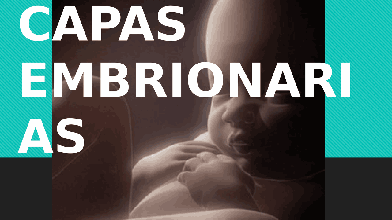 Capas embrionarias-Curso de embriologia - Docsity