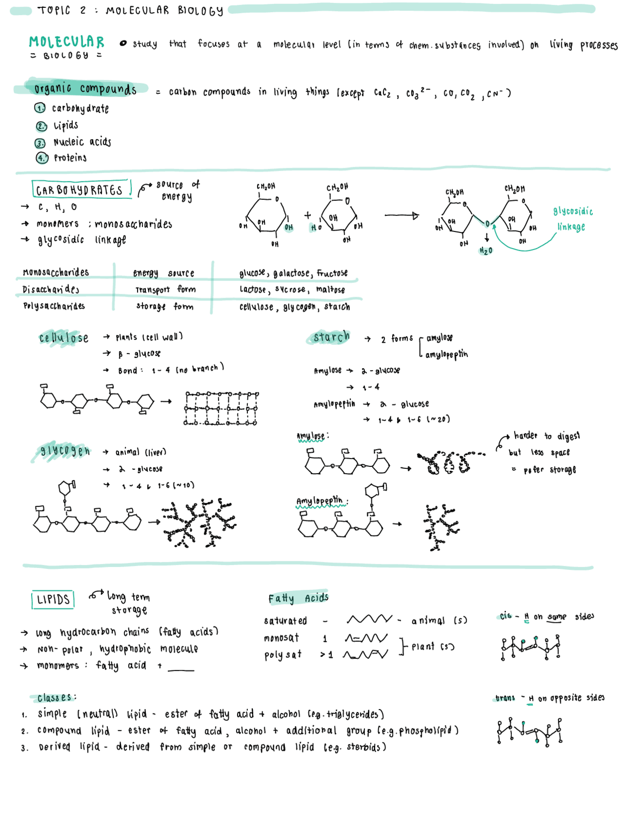 IB Biology topic 2 summary | Study notes Biology | Docsity