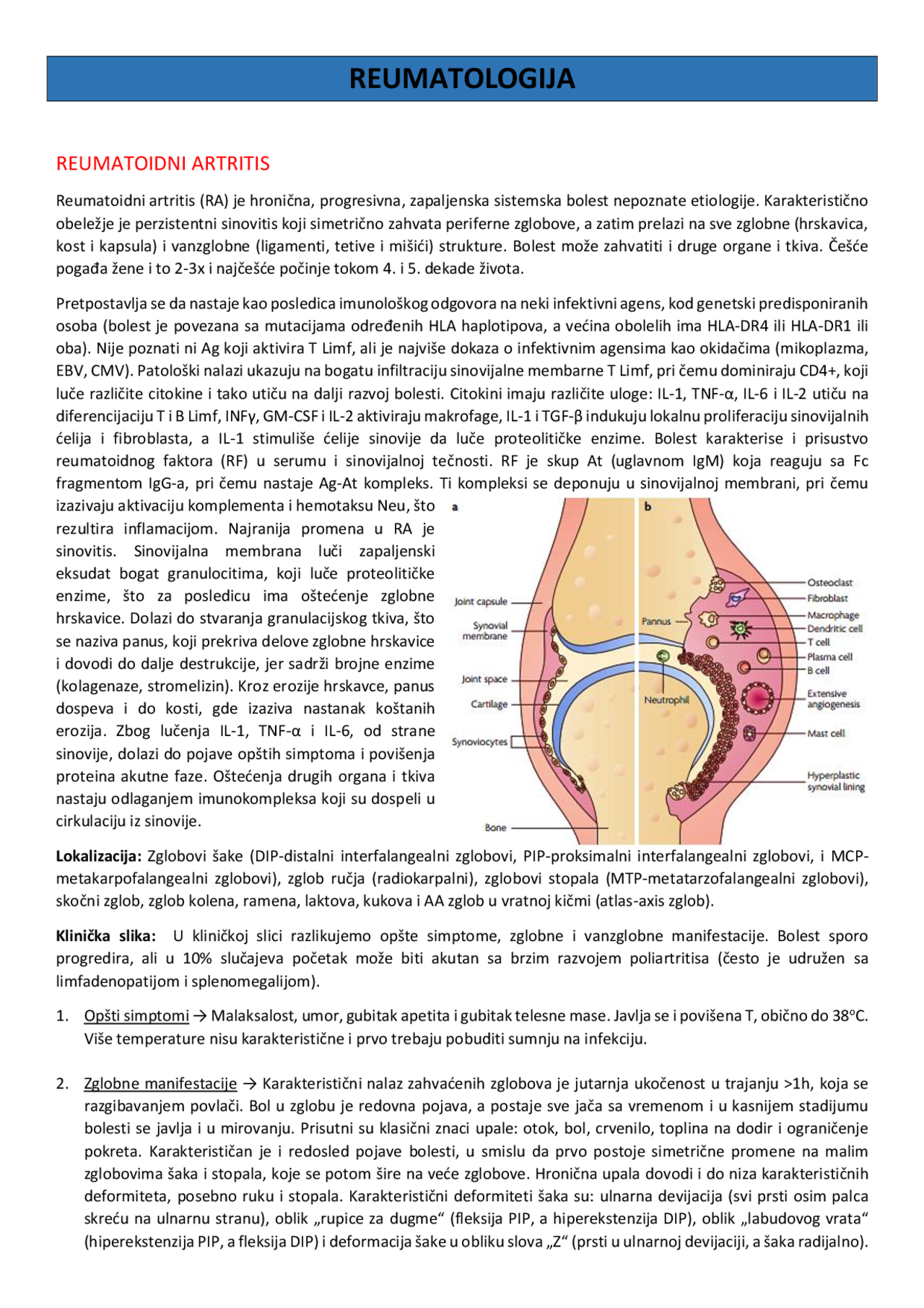 Interna medicina - Reumatologija | Skripte' predlog Interna medicina ...