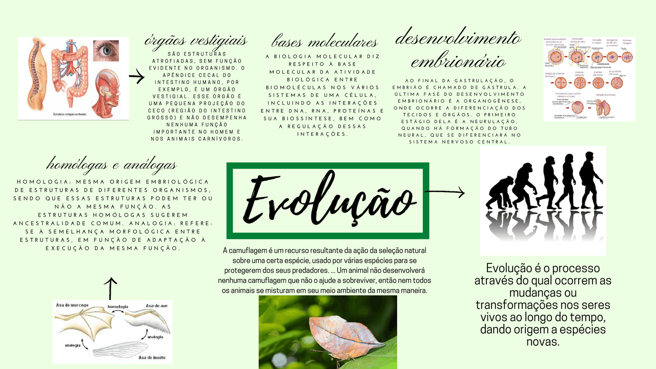 Materia De Ciencias Sobre A Evolução Das Espécies Docsity