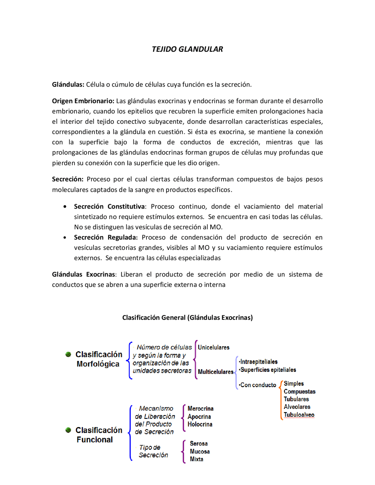 Principios Del Tejido Glandular Docsity