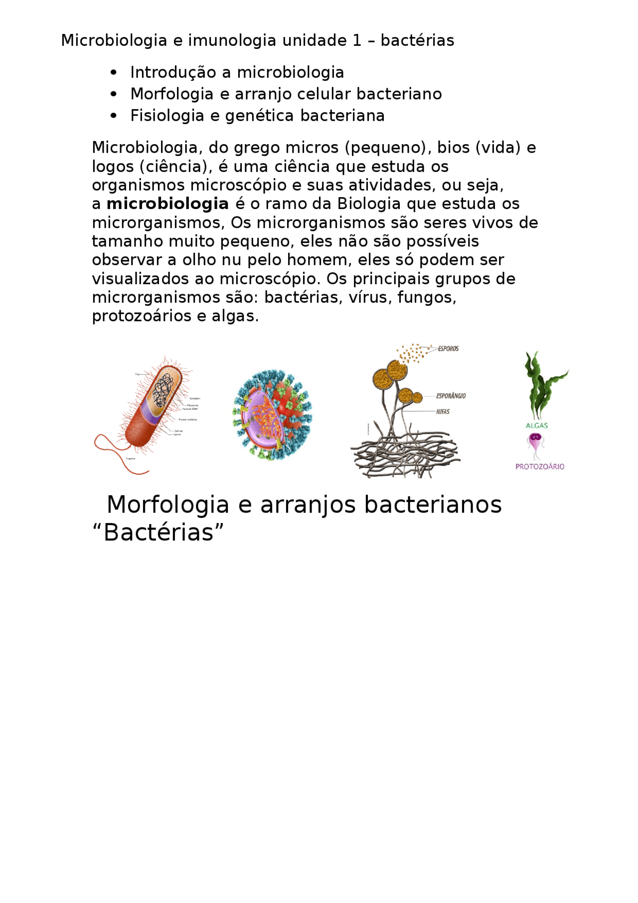Bacterias Coloração De Gram Parede Celular Resumos Microbiologia