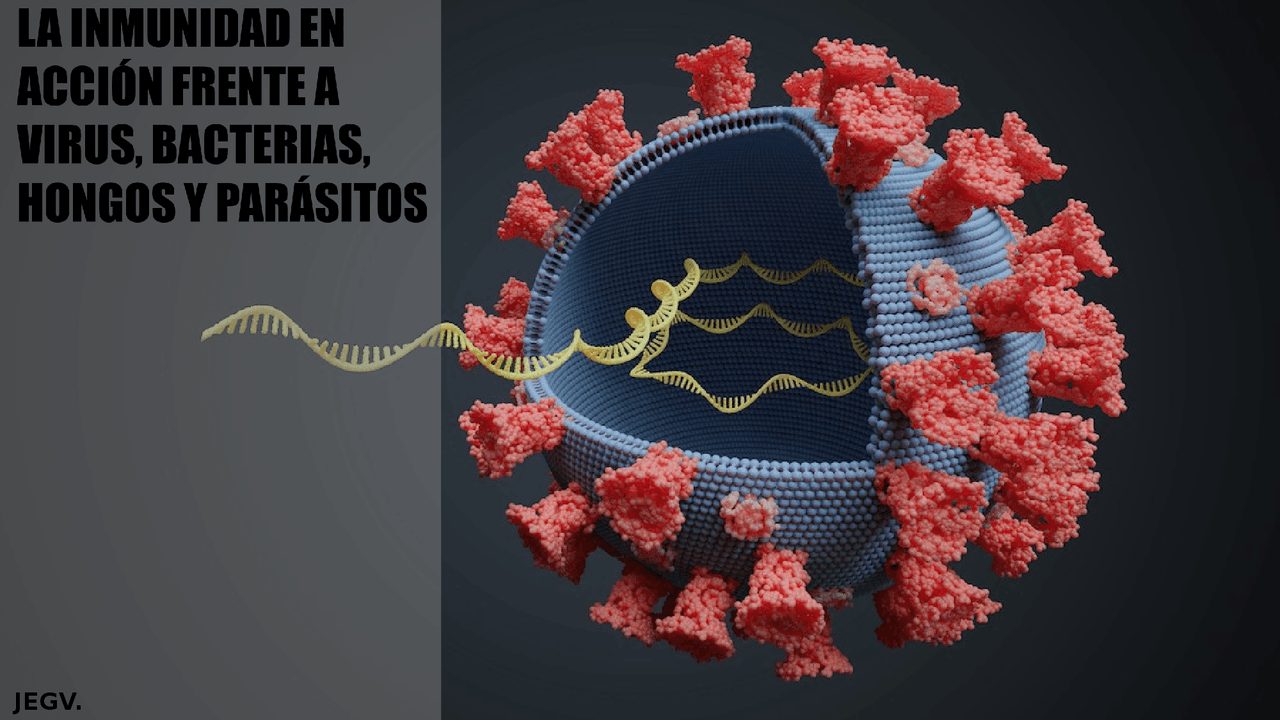 LA INMUNIDAD EN ACCIÓN FRENTE A VIRUS, BACTERIAS, HONGOS Y PARASITOS - Docsity