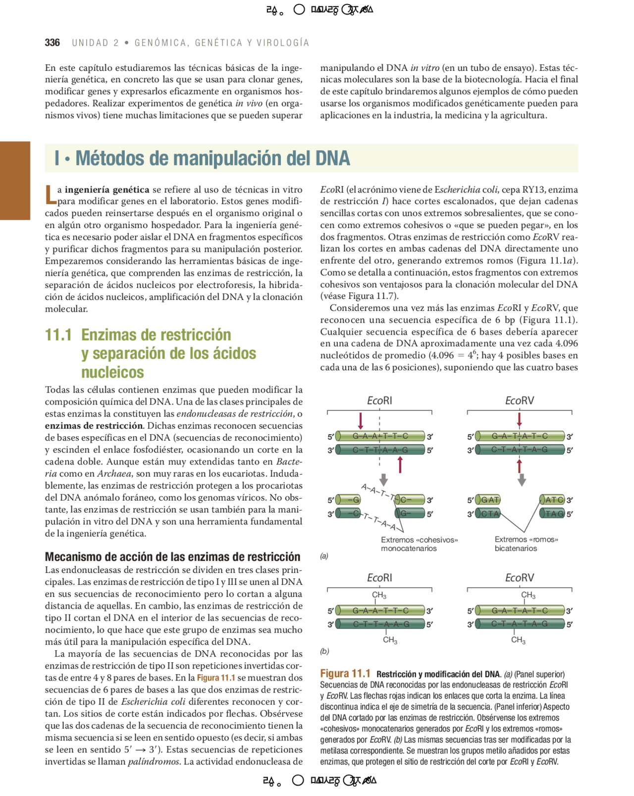 PCR - ADN - PCR - ADN - Docsity