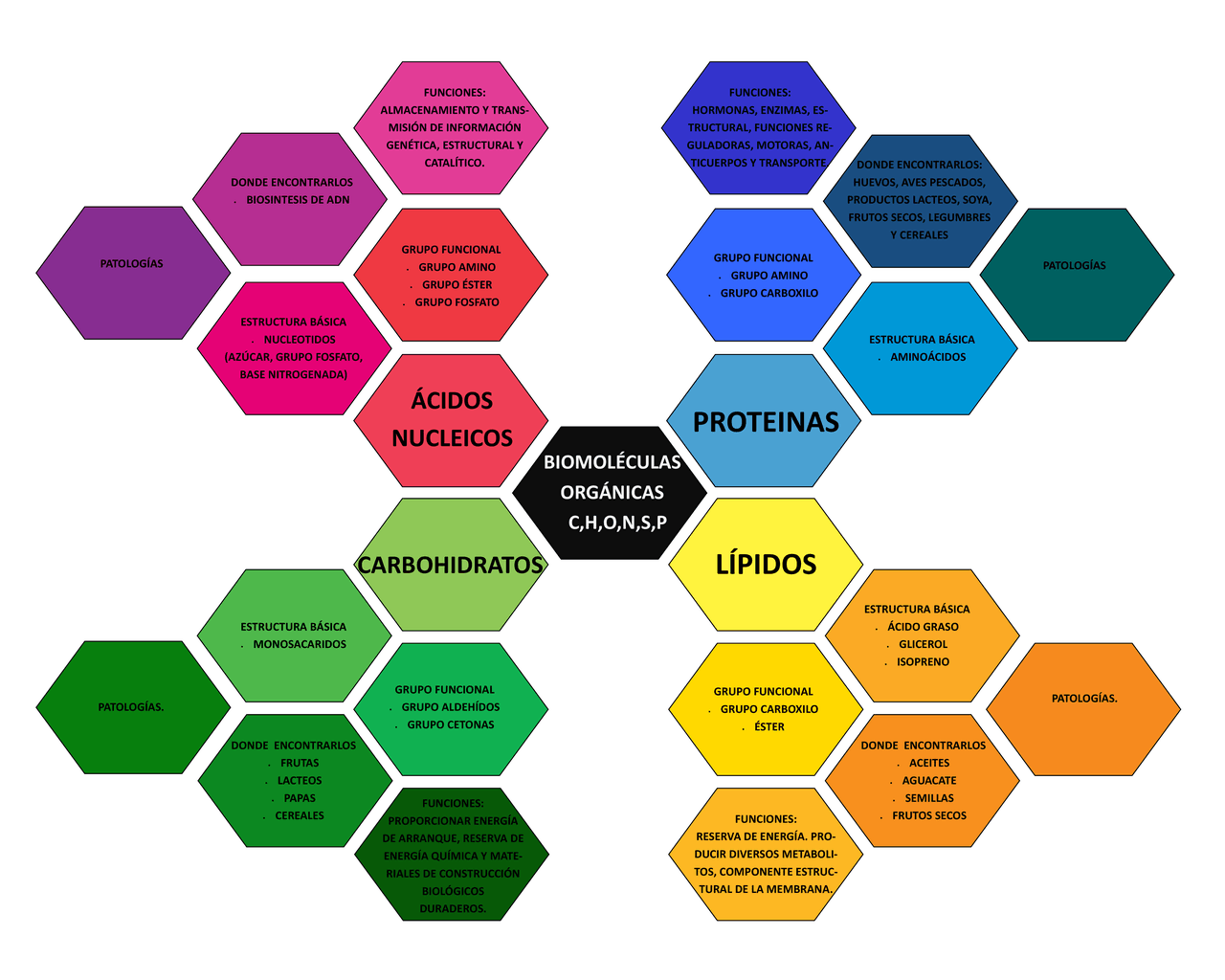 Mapas Conceptuales De Las Biomoleculas Descargar - Otosection Mapas Conceptuales De Las Biomoleculas Descargar - Otosection