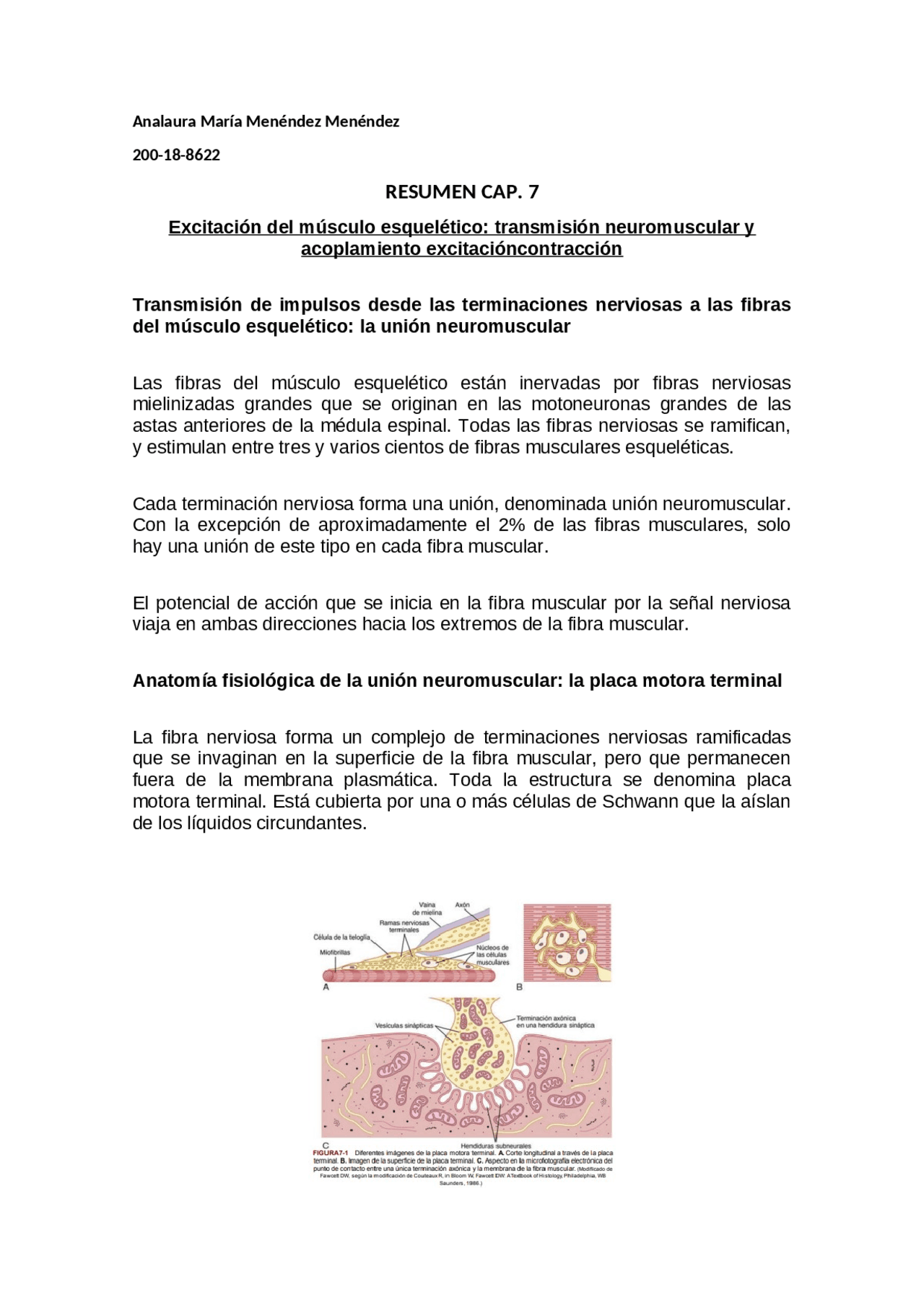 Resumen Capítulo 7 Guyton Docsity