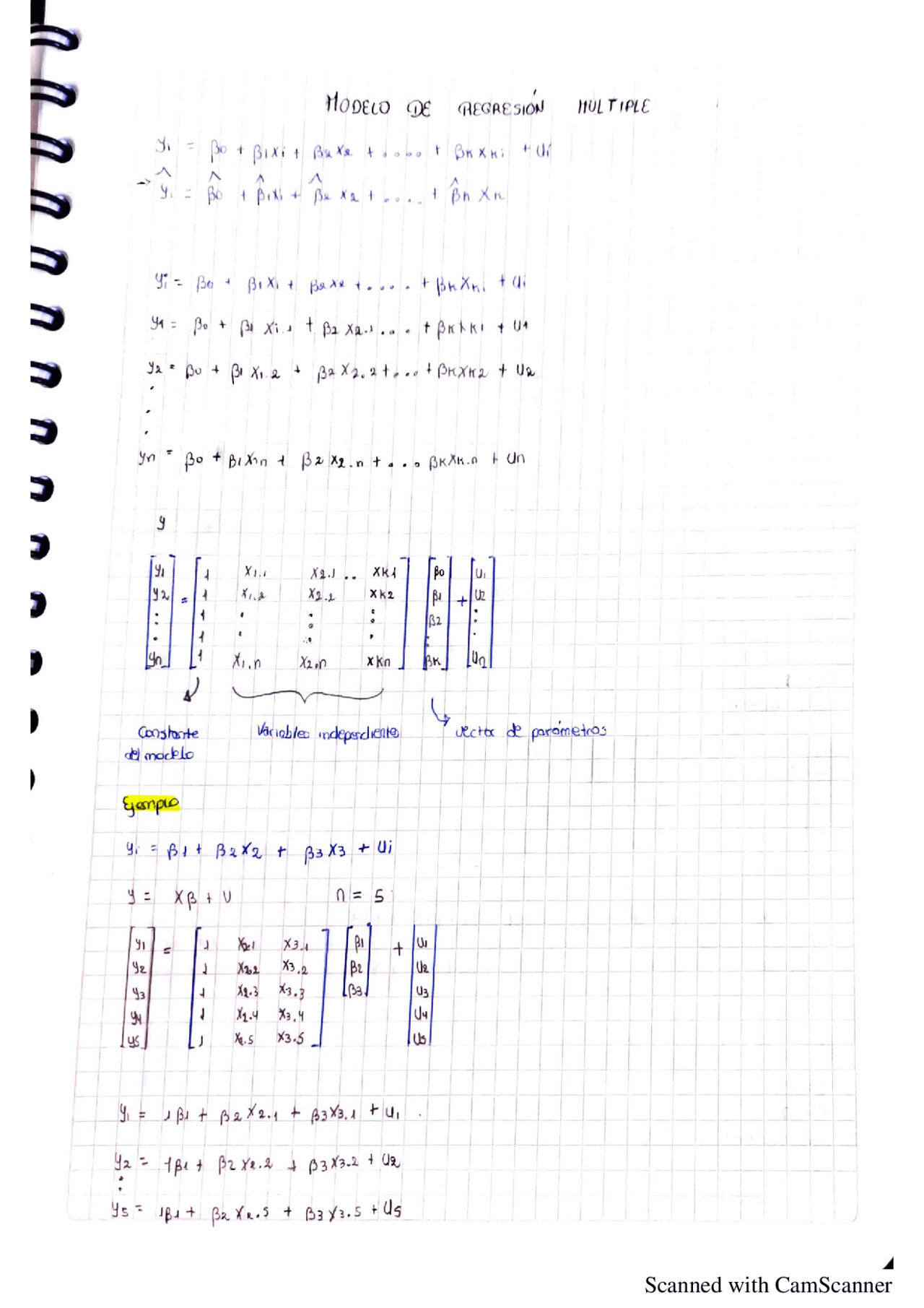 Apuntes De EconometrÍa Ll Docsity