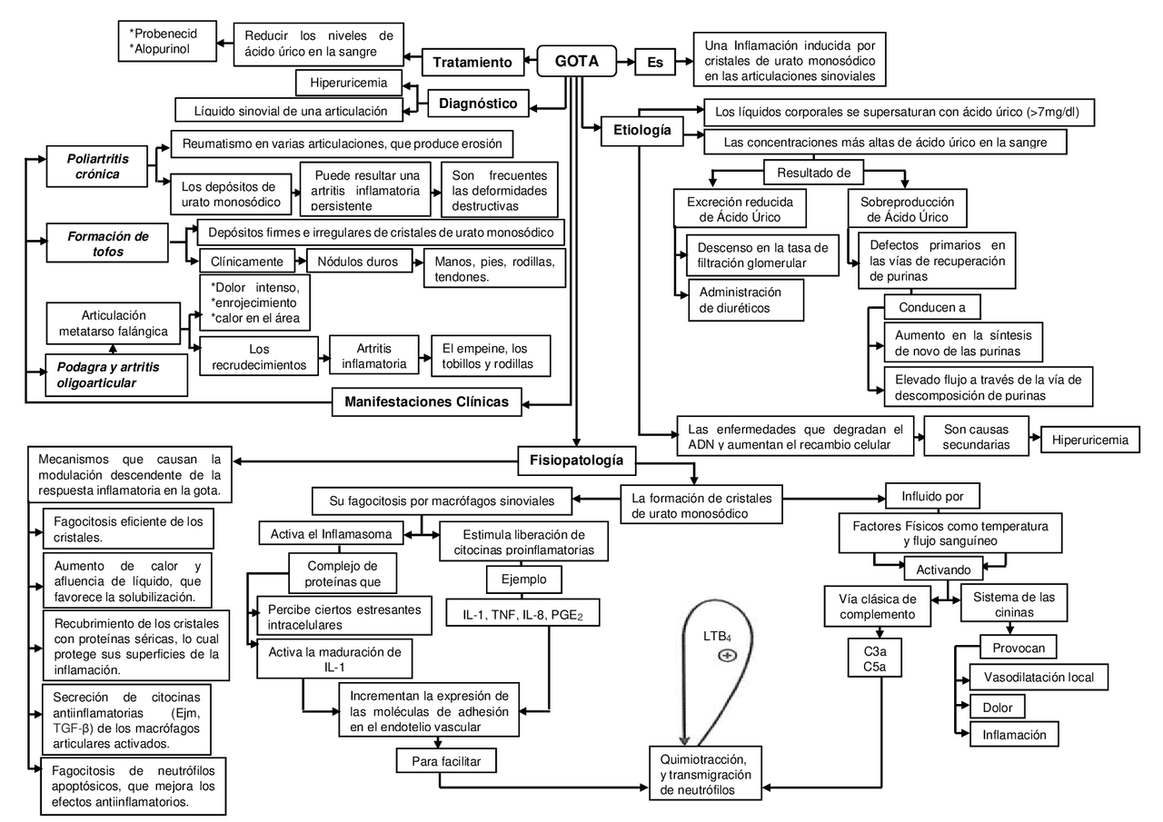 MAPA CONCEPTUAL DE LA FISIOPATOLOGÍA DE LA PATOLOGÍA "GOTA" | Esquemas ...