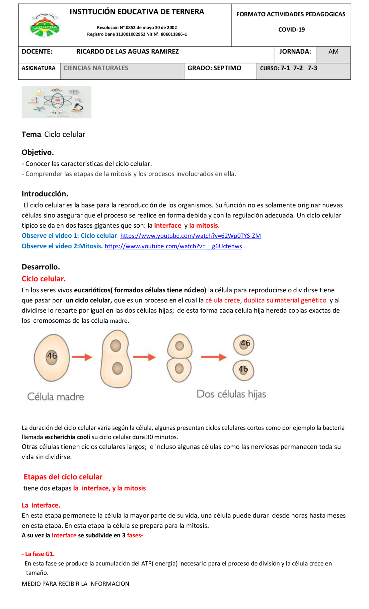 Guia aprendizaje septimo grado area ciencias naturales El ciclo celular ...