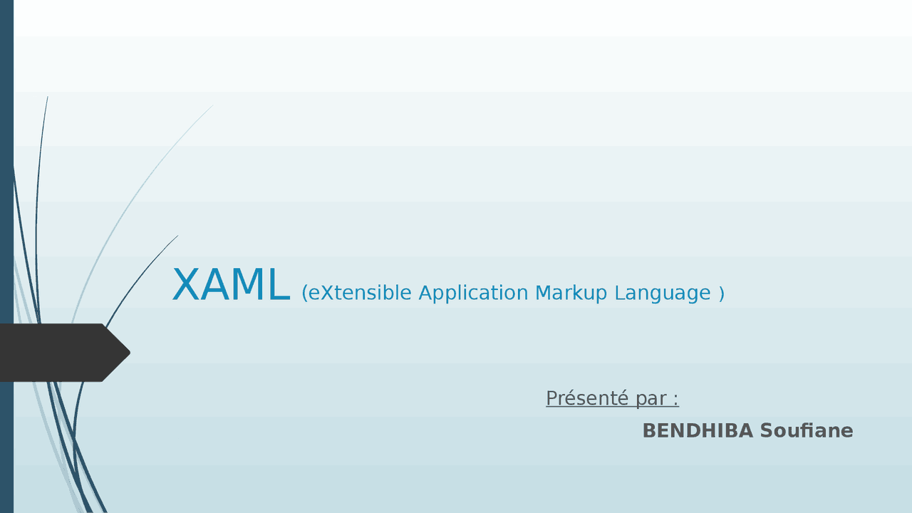 Extensible Application Docsity