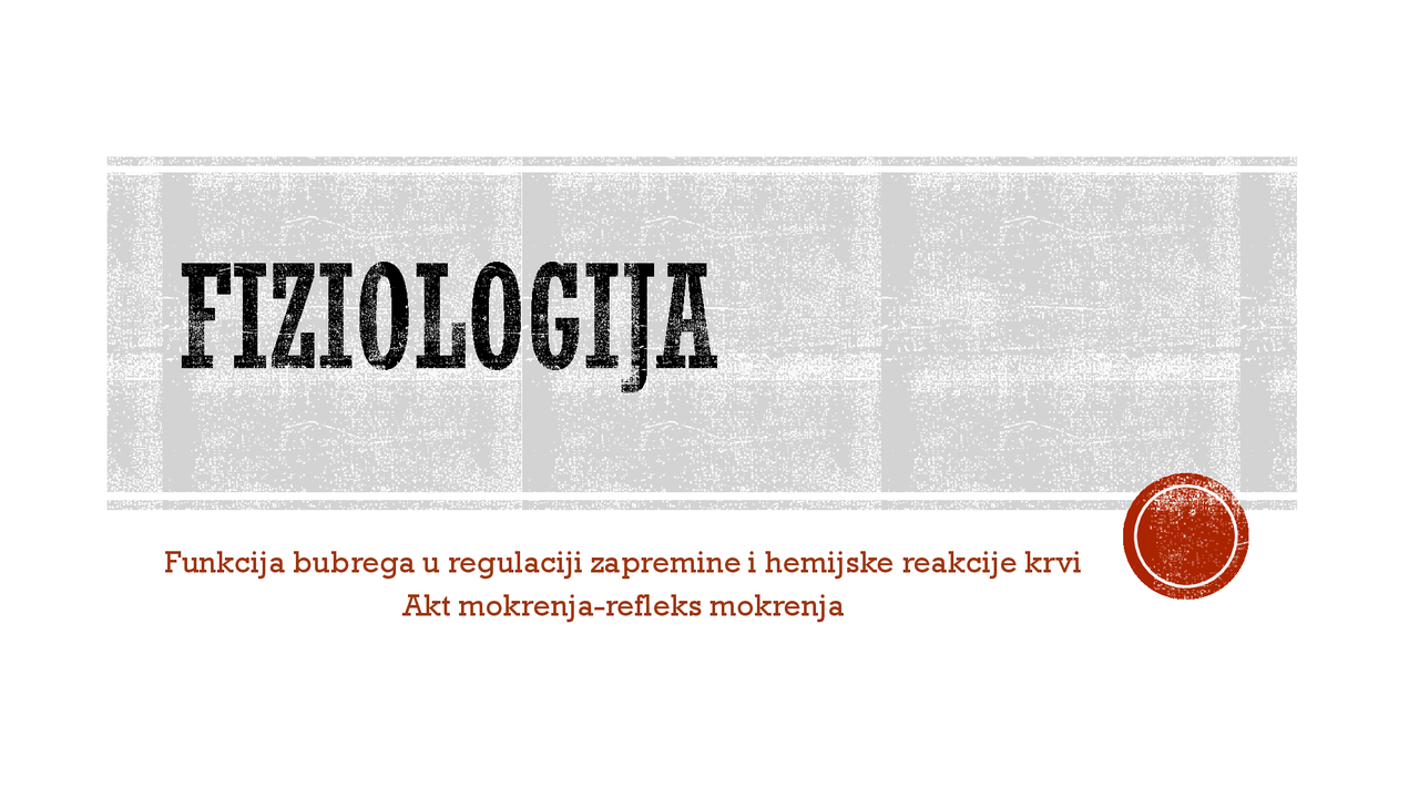 Fiziologija i anatomija bubrega: prezentacija i pitanja | Slajdovi ...
