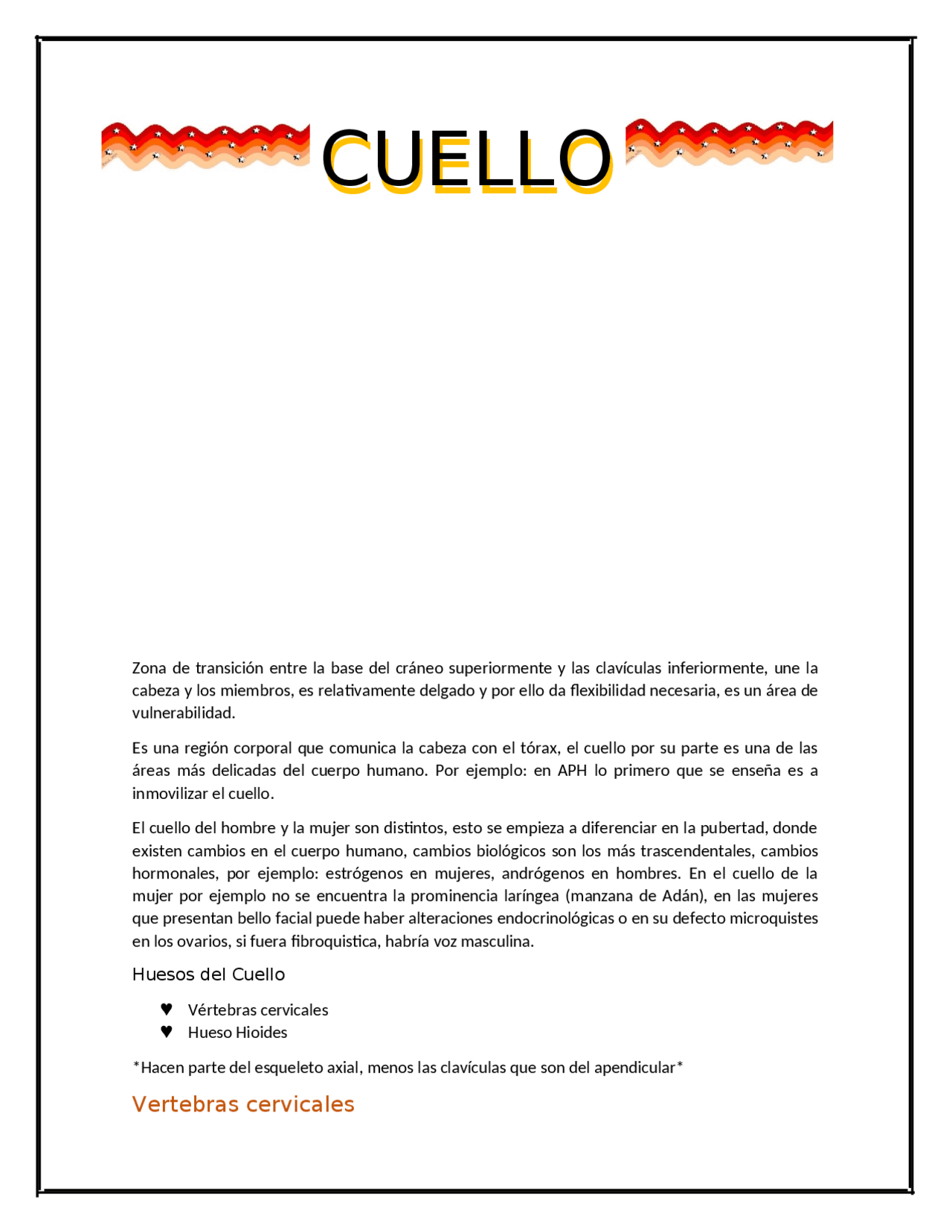 Anatomía Cuello Apuntes Resumen Primera Parte Del Libro De Moore