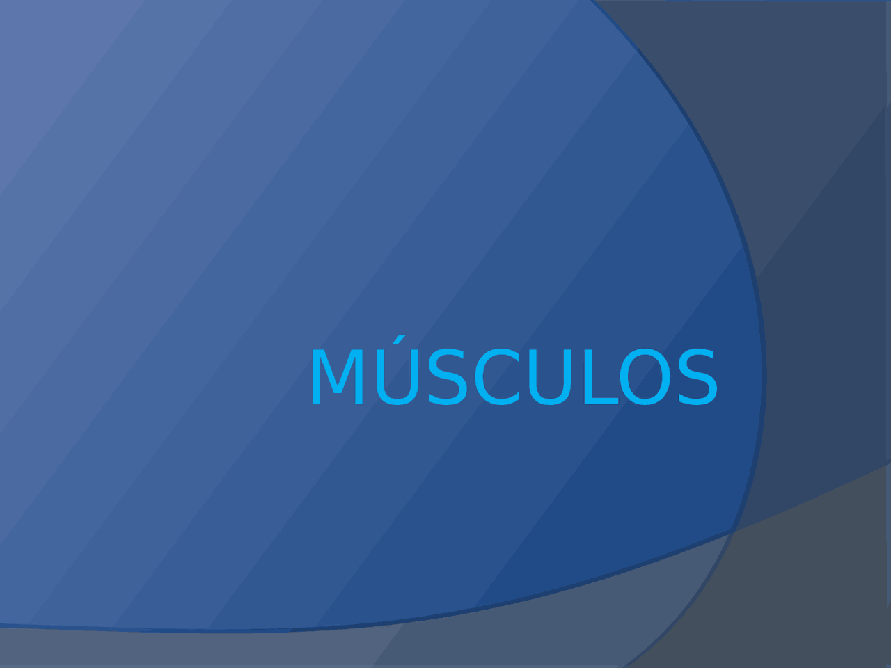 Músculos del cíngulo pectoral | Diapositivas de Anatomía | Docsity
