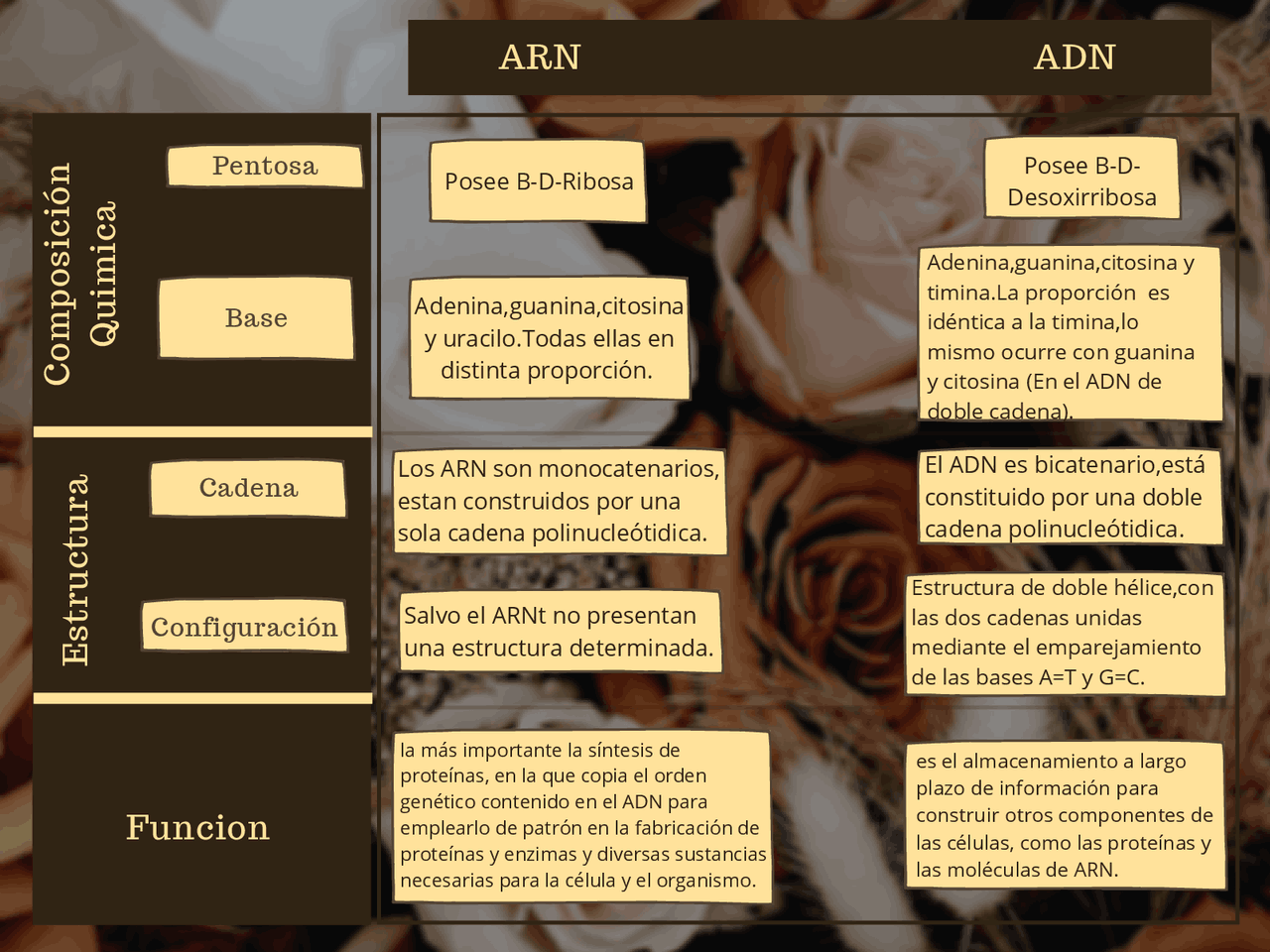 Cuadro Comparativo arn y adn | Esquemas y mapas conceptuales de ...