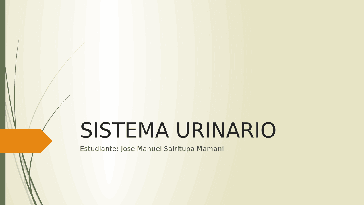 Fisiología Del Sistema Urinário Slides De Psycologie Humaine Docsity
