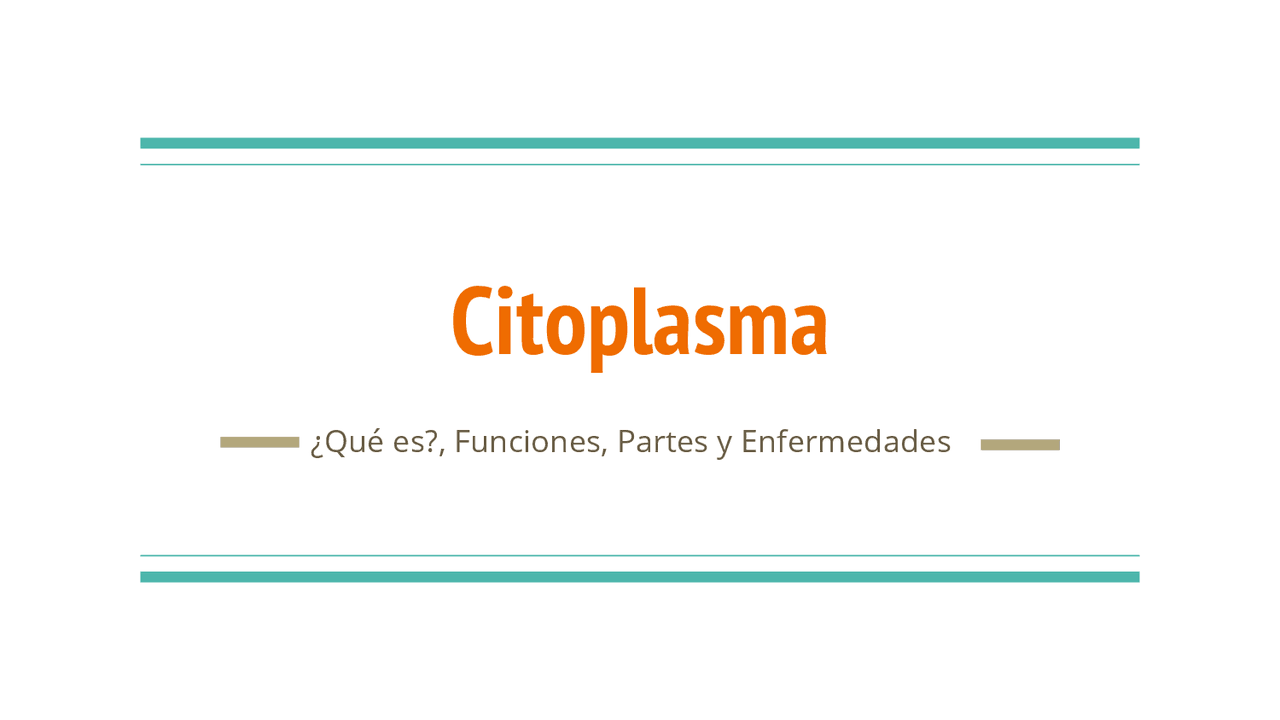 Citoplasma, que es,funciones y partes Resumen - Docsity