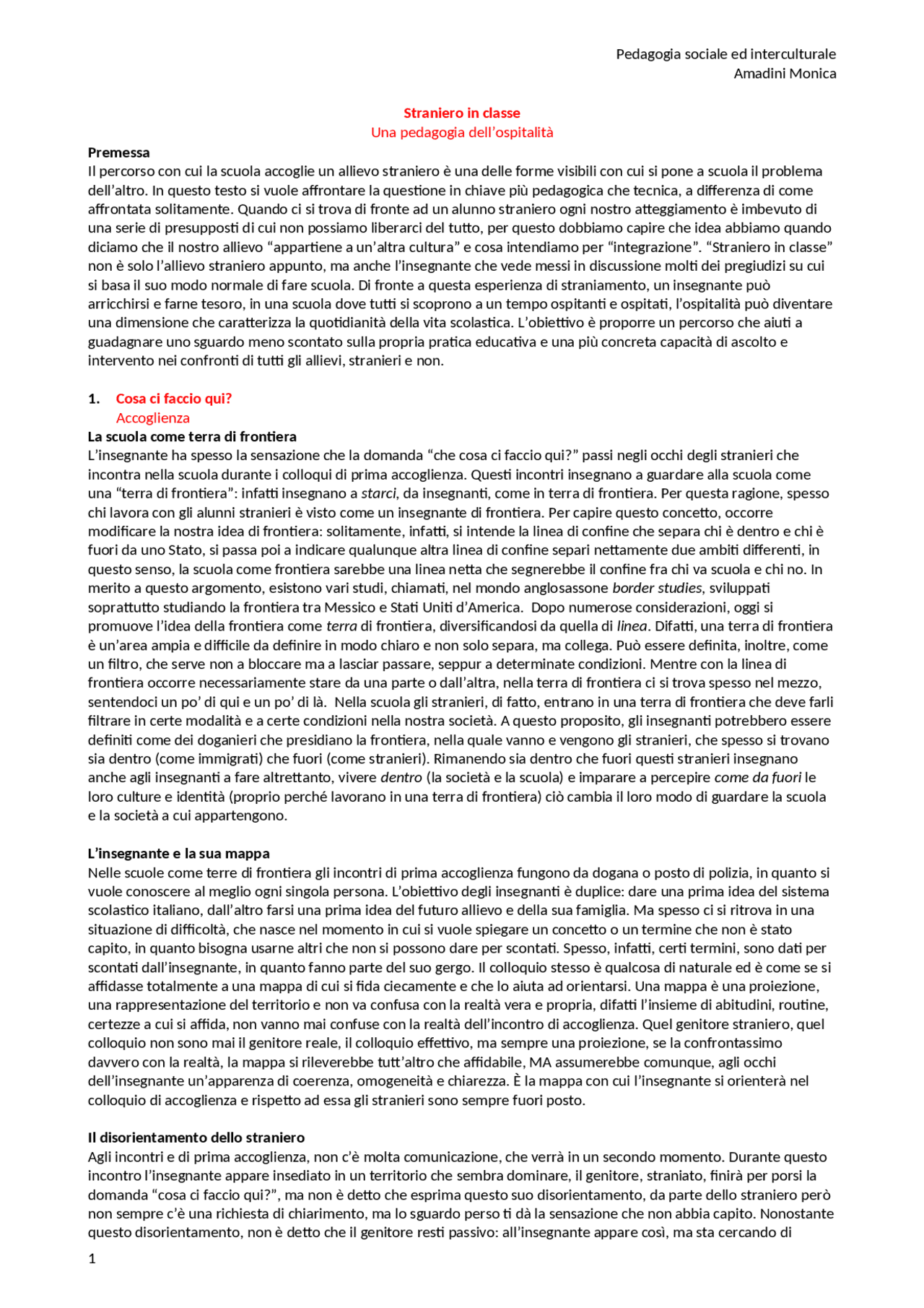 Straniero In Classe Davide Zoletto Docsity