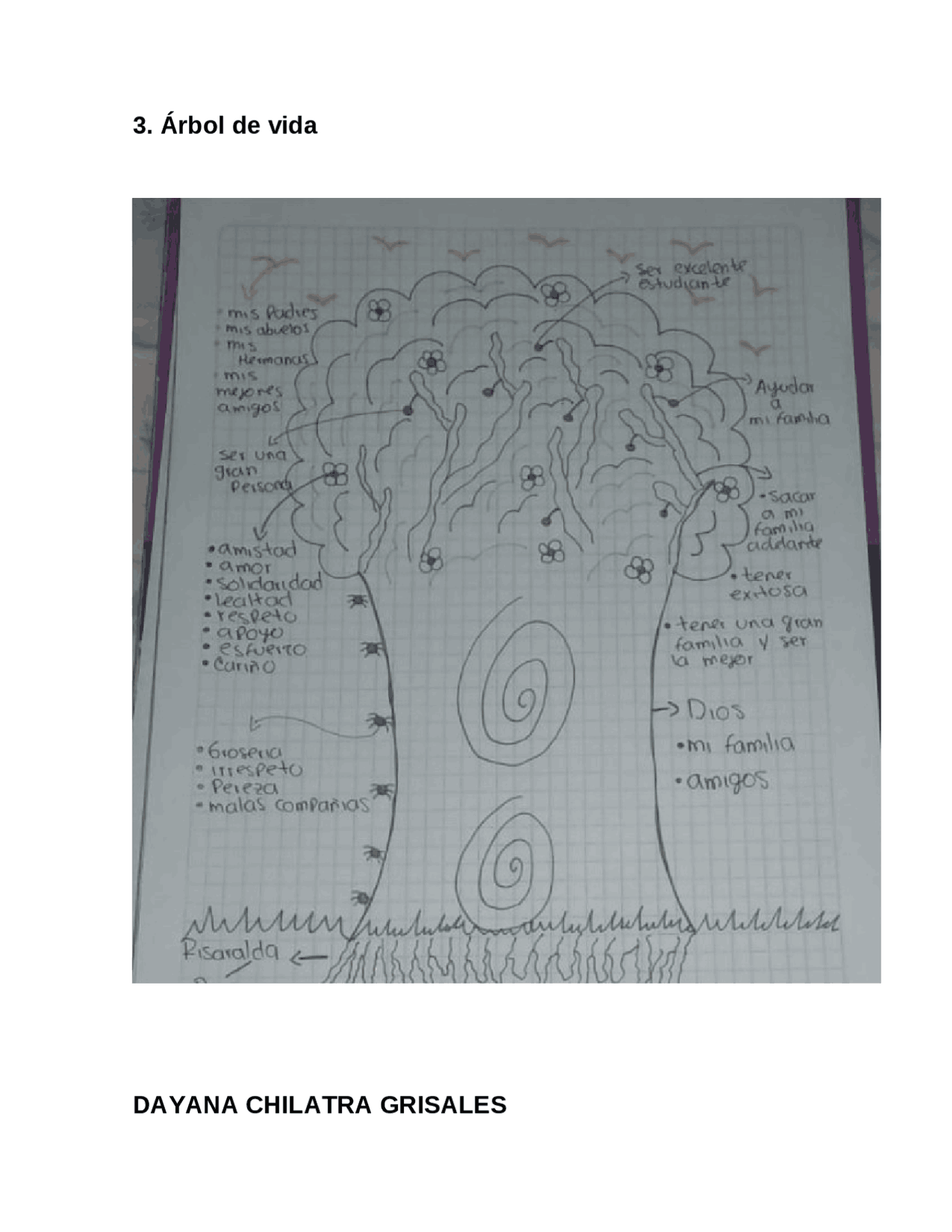 ACTIVIDAD ARBOL DE LA VIDA - Docsity